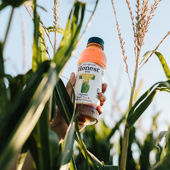 Honest Tea | Brand Identity | Award-Winning | Beardwood&Co.